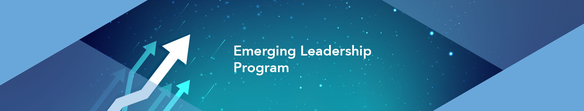 2025-26 Emerging Leadership Program - Business / Arts
